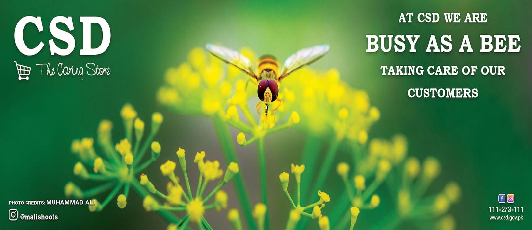 CSD Pakistan - CSD The Caring Store